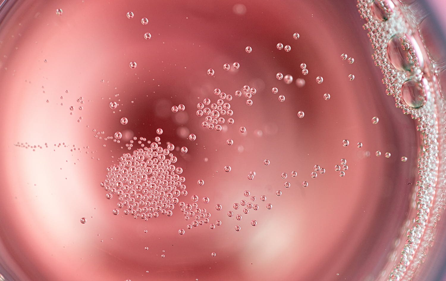 Discovering Petnat: Leaders of the Sparkling Wine Movement - Pure Wines